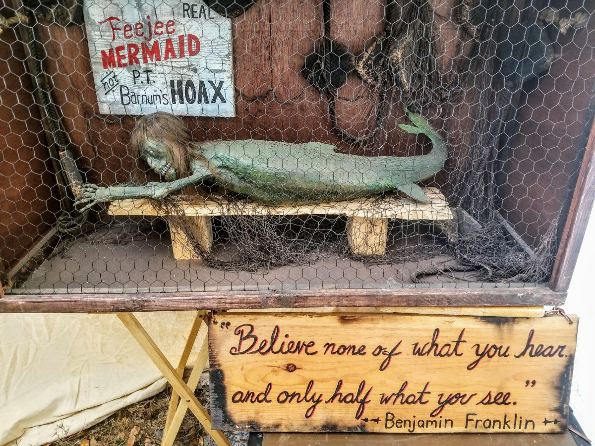 Foto Friday: The FeeJee Mermaid? – That Helpful Dad